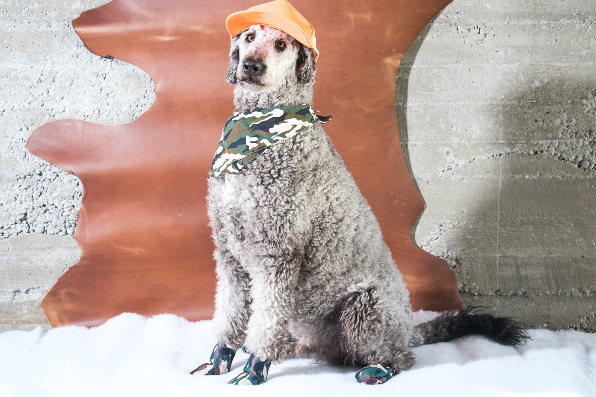Innovative Comfortable Dog Shoes & Booties for winter – Rocky Mountain ...